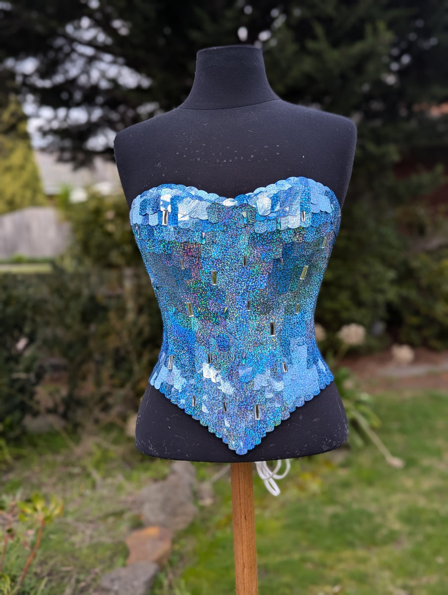 Sparkly Parks Blue Elsa Corset – Emily Jane Designs